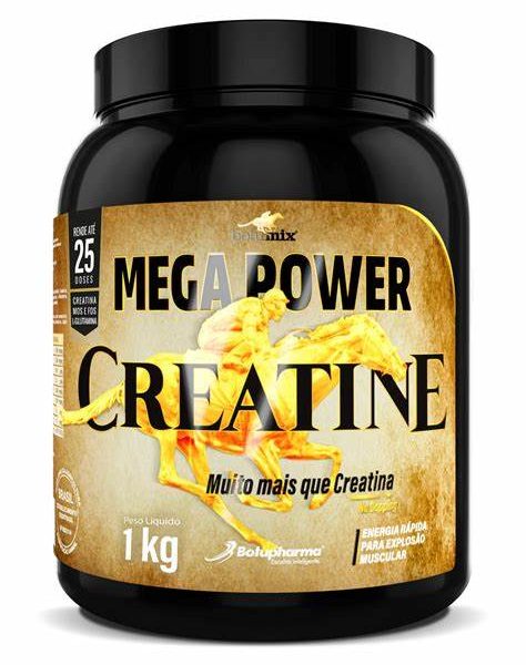 Produtos – Vet Express